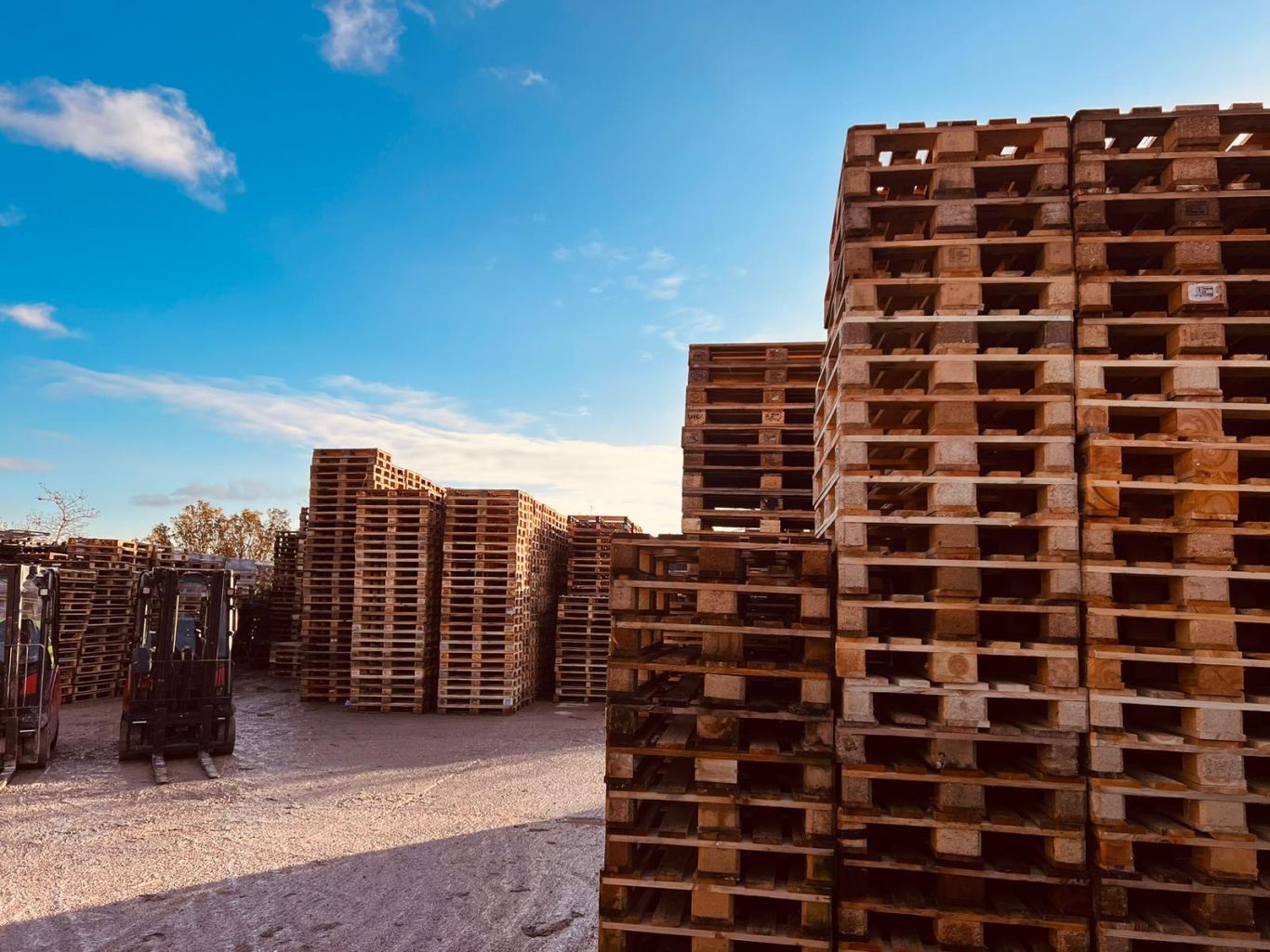 Potteries Pallets